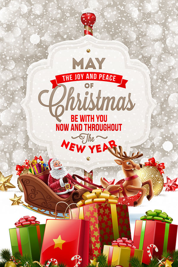 Merry Christmas,Happy New Year,Wonderful Festive Season!