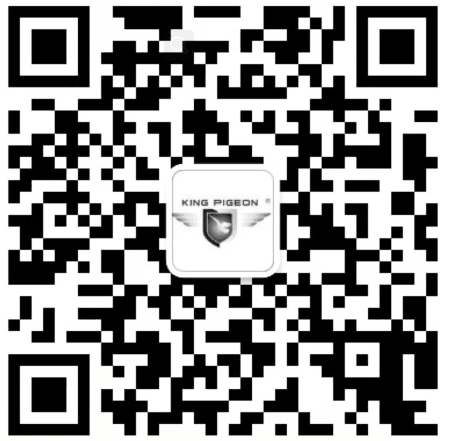King Pigeon-4G Lora Gateway S281