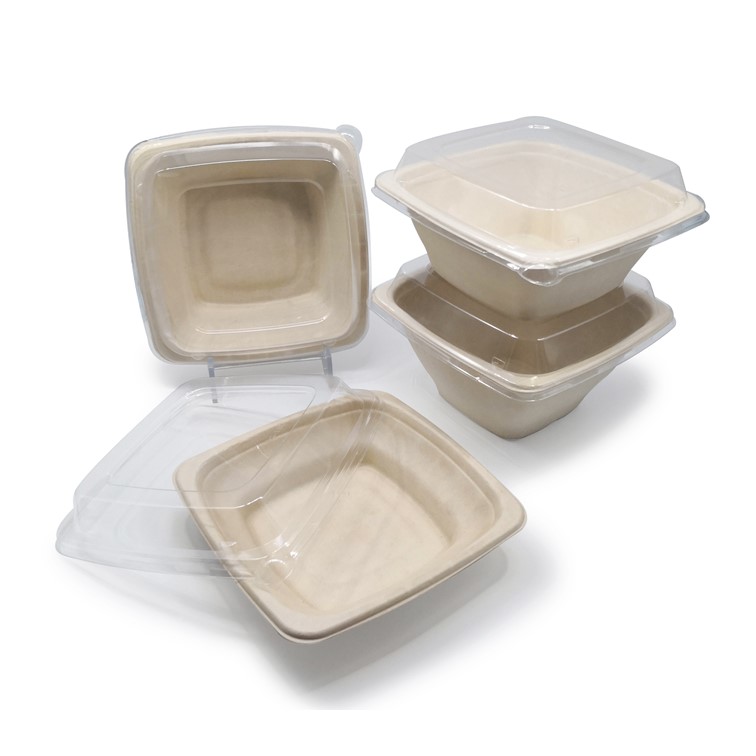 EG-24S 7 Inch Compostable Bagasse Pulp Square Food Container,Bagasse ...