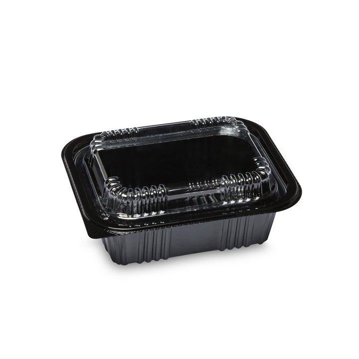 J-8505 Plastic Disposable Sushi container,Sushi Box