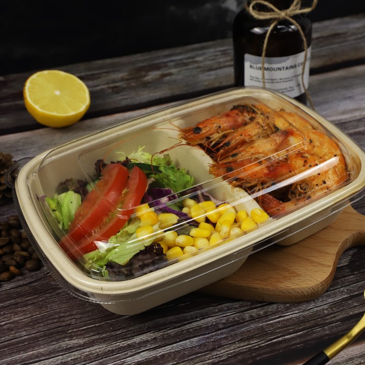 CR900-2 2CPT Compostable Bagasse Pulp Rectangular Food Container ...