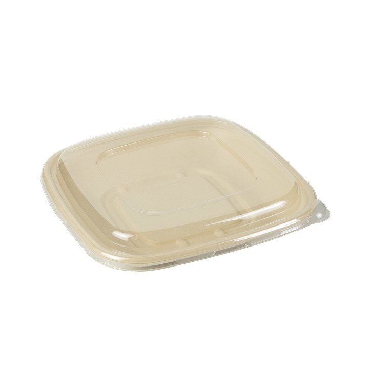 CB24 8.5 Inch Compostable Bagasse Pulp Square Food Container,Bagasse ...