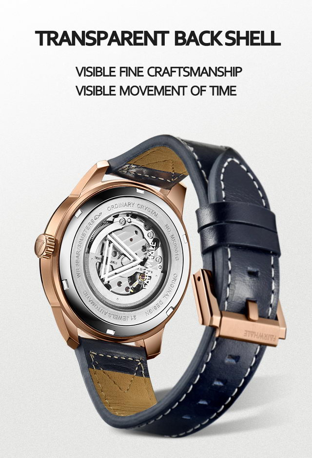 FAIRWHALE Automatic Japanese movement Waterproof Men's Watch