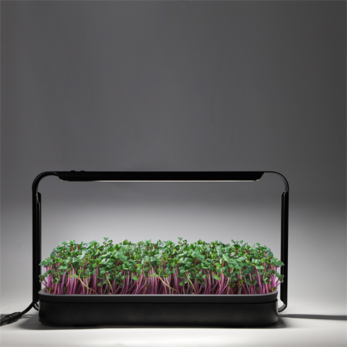 Indoor Hydroponics Smart Garden Grow Kit for Leafy Green Vegetables ...