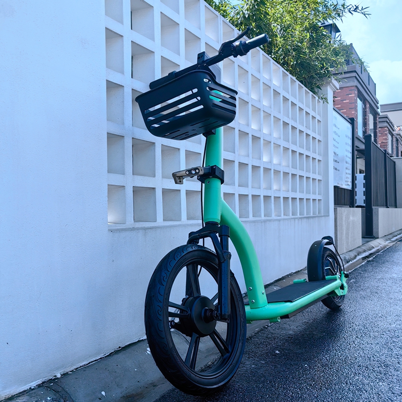 Long Range Kick Bike For Sharing,Electric Scooter