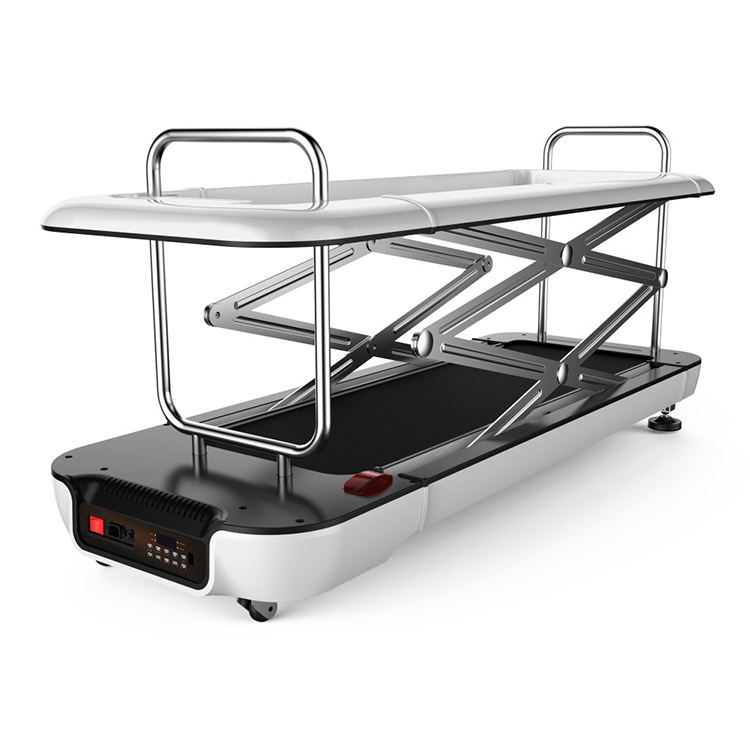 YSVET-TM603 Electric Dog Treadmill Machine Small and Large Dog Training ...