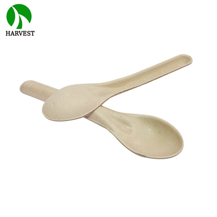 Eco Harvest Packaging | Sustainable Disposable Bagasse Plant-Based ...