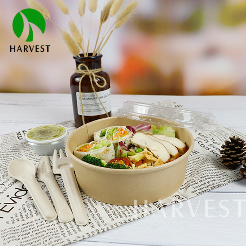 Eco Harvest Packaging | Sustainable Eco Friendly 165mm 6.5 Inch 750ml ...