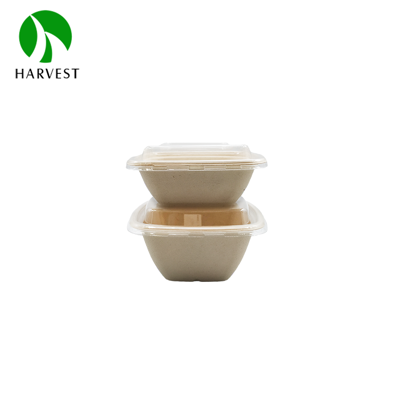 Eco Harvest Packaging | 5 Inch 17oz 500ml Square Food Container Box ...