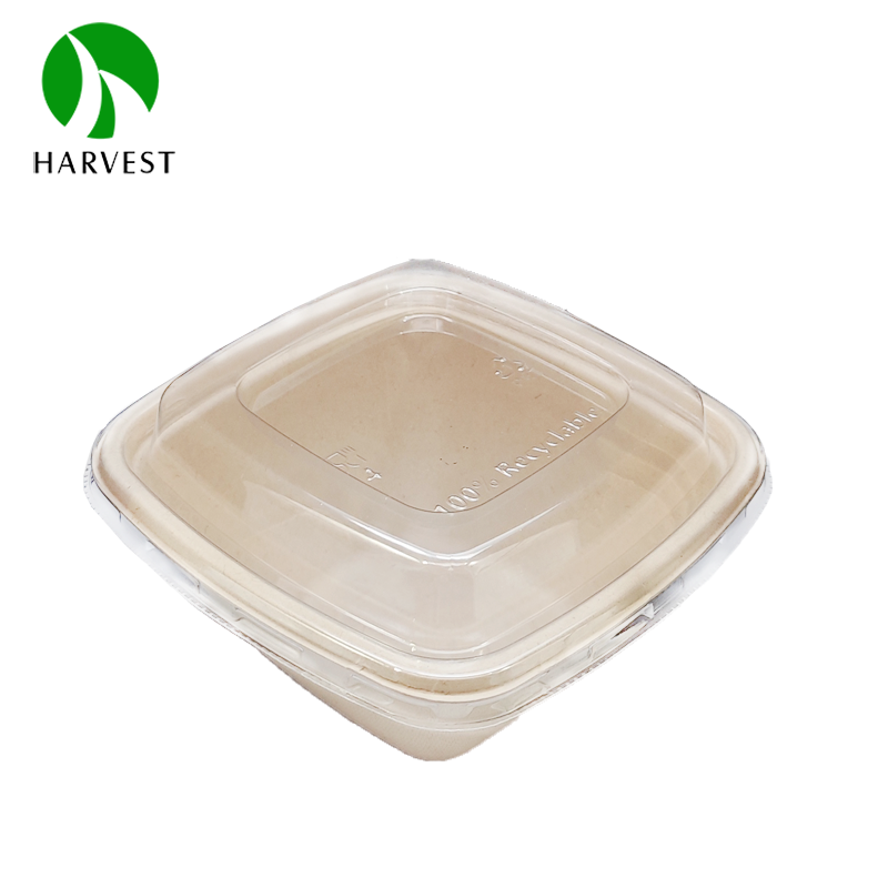 Eco Harvest Packaging | 5 Inch 12oz 350ml Square Food Container Box Biodegradable Food Packaging ...