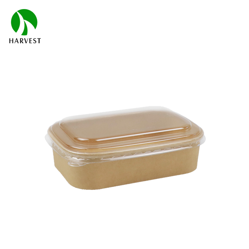500ml rectangle kraft paper box