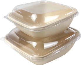 Eco Harvest Packaging | CBS1000 1000ml Square Beveled Takeaway Container