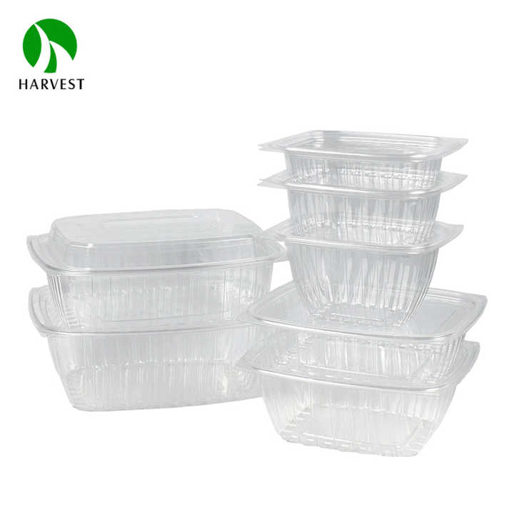 Disposable Rectangle Plastic Salad Container,Plastic Food Container