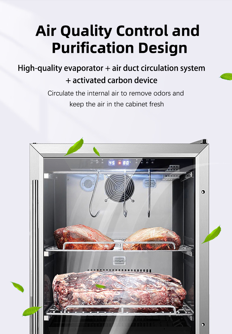 dry aging cabinet freezer