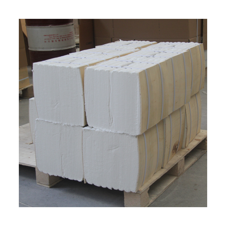 ceramic fiber module