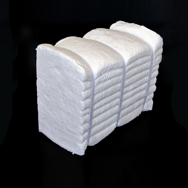 ceramic fiber module