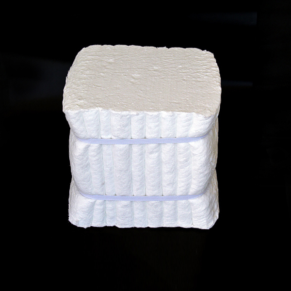 ceramic fiber module