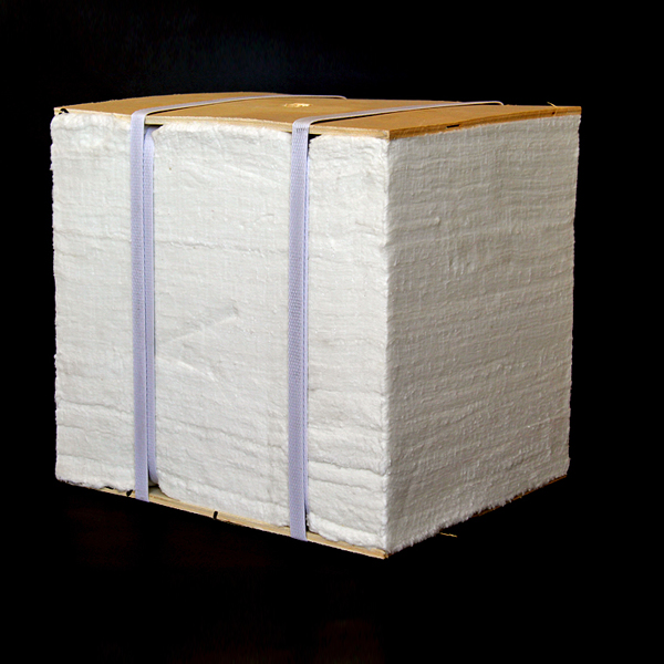 ceramic fiber module