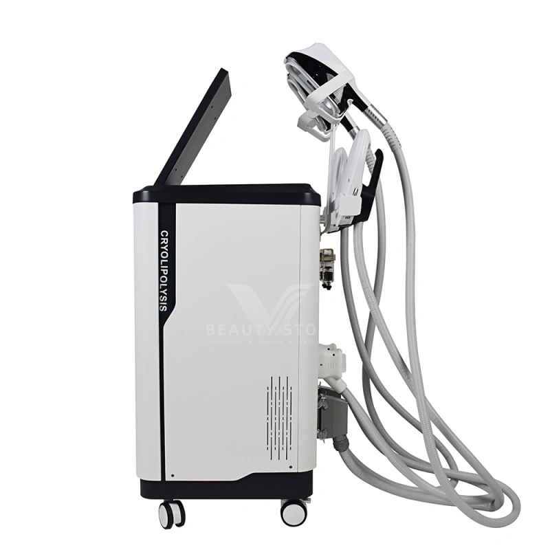 2 In 1 4 Handle 5 Tesla Cryo Body Sculpting Machine Cryolipolysis Fat ...