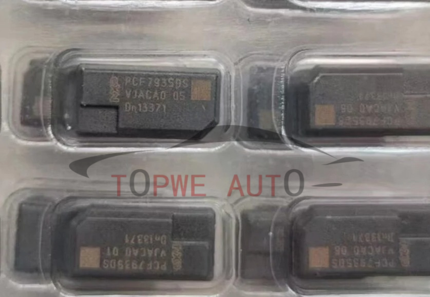 TP-chip-006D