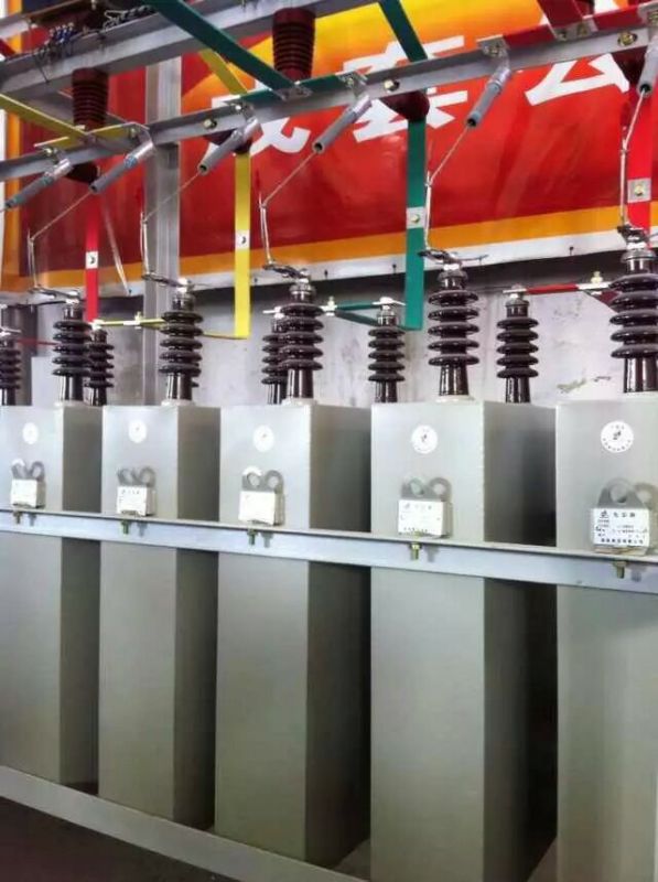 FFM Single phase 21.6KV High voltage protect power capacitor high ...