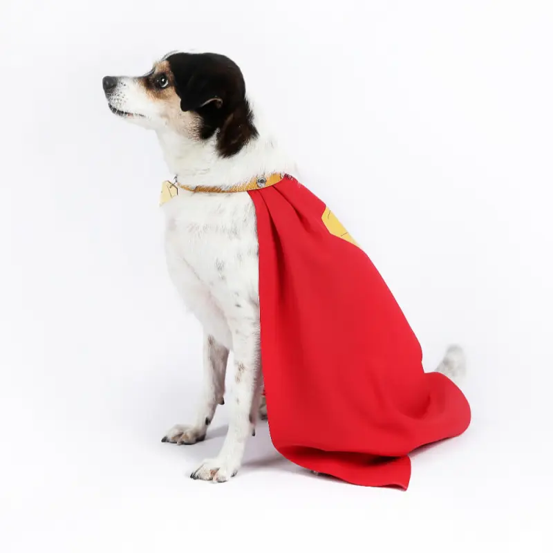 Krypto the Superdog Cape Cosplay Costume 2025 Legacy Hallowcos