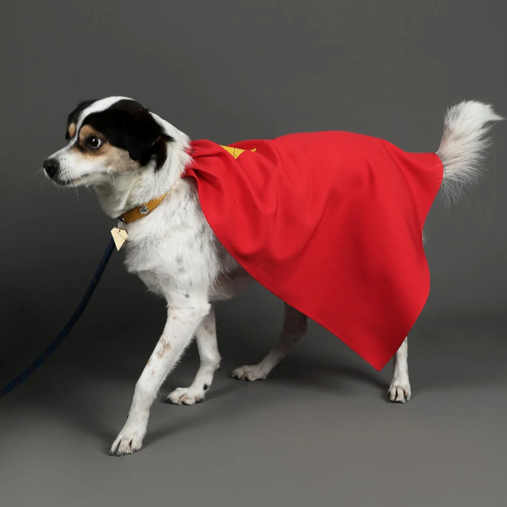 Krypto the Superdog Cape Cosplay Costume 2025 Legacy Hallowcos