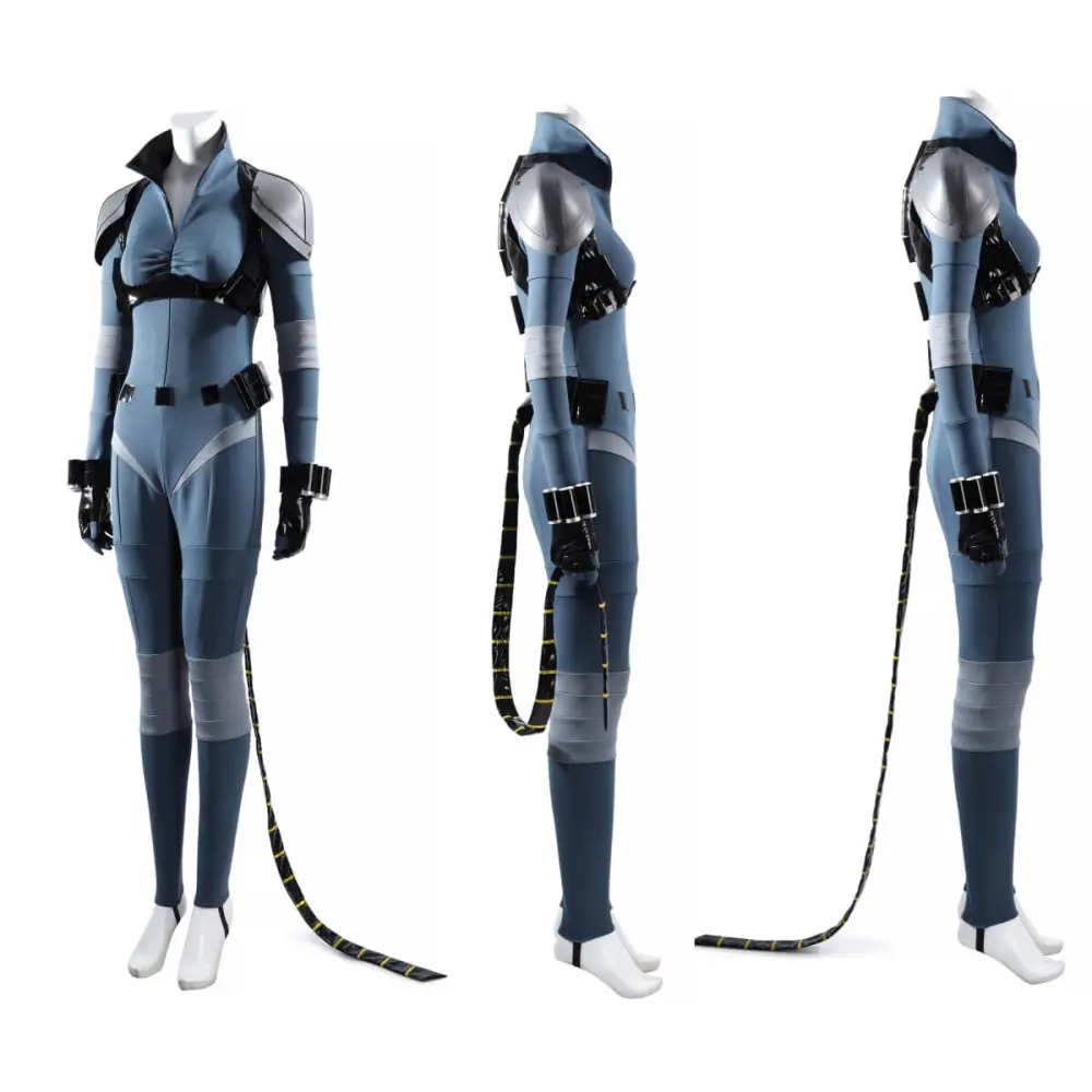 Absolute Selina Kyle Cosplay Costume