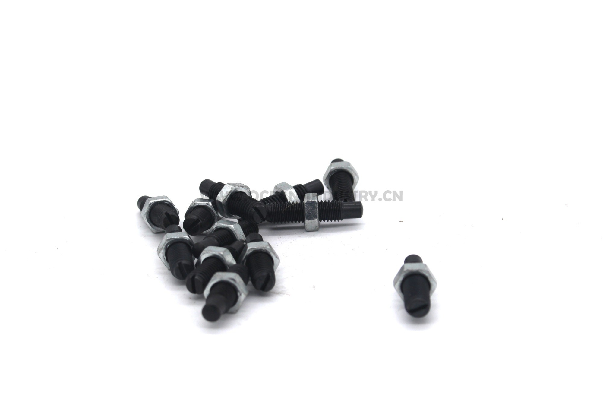 S6K Valve adjusting bolt