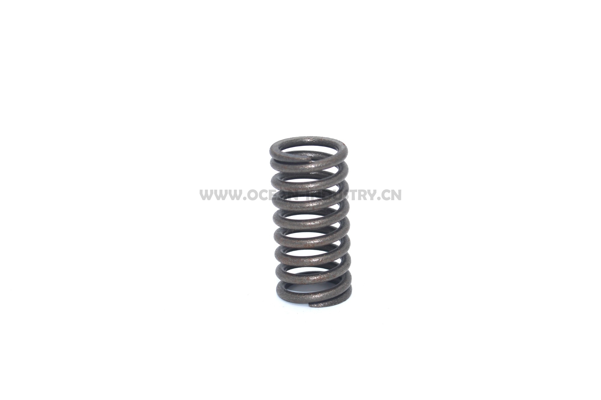 C6.4 Valve spring