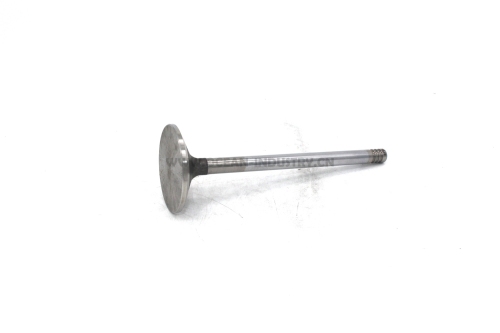 D7D Intake Valve