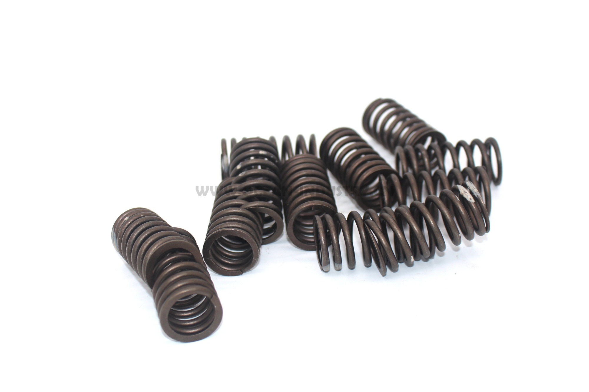 S6K Valve spring