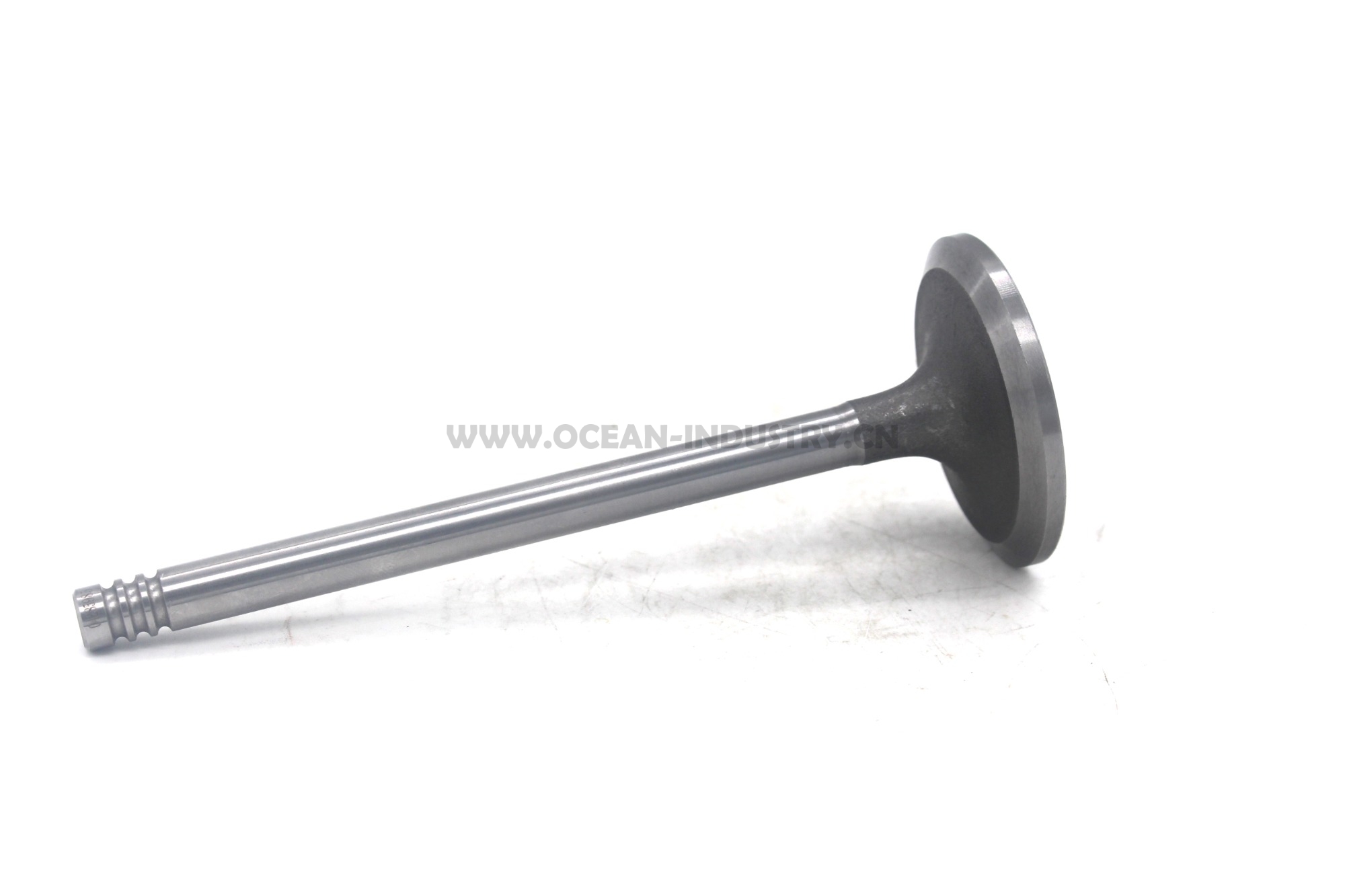 D6E Intake valve