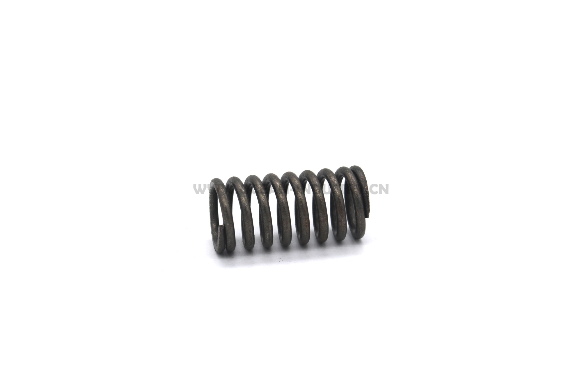 C6.4 Valve spring