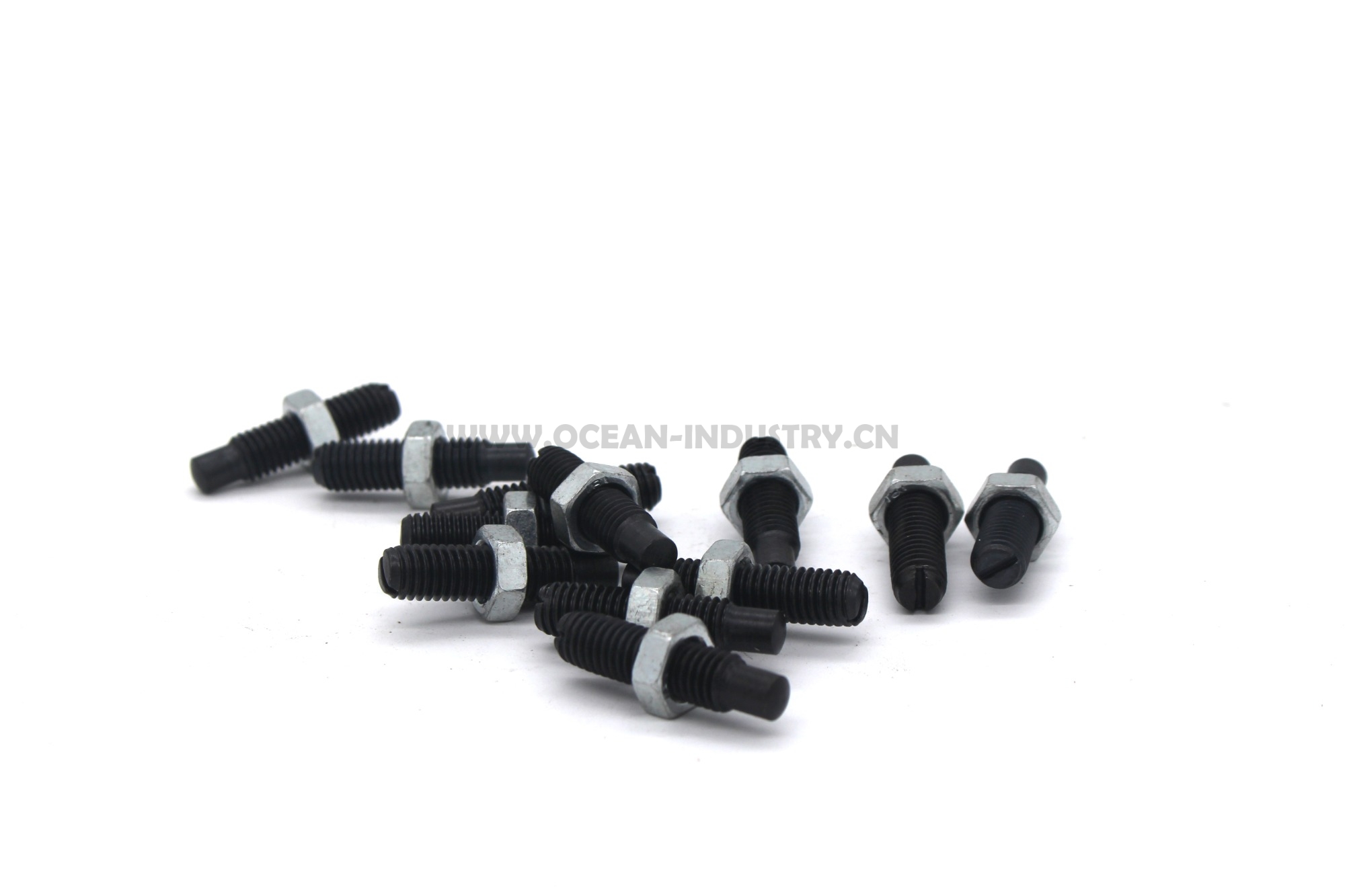 S6K Valve adjusting bolt