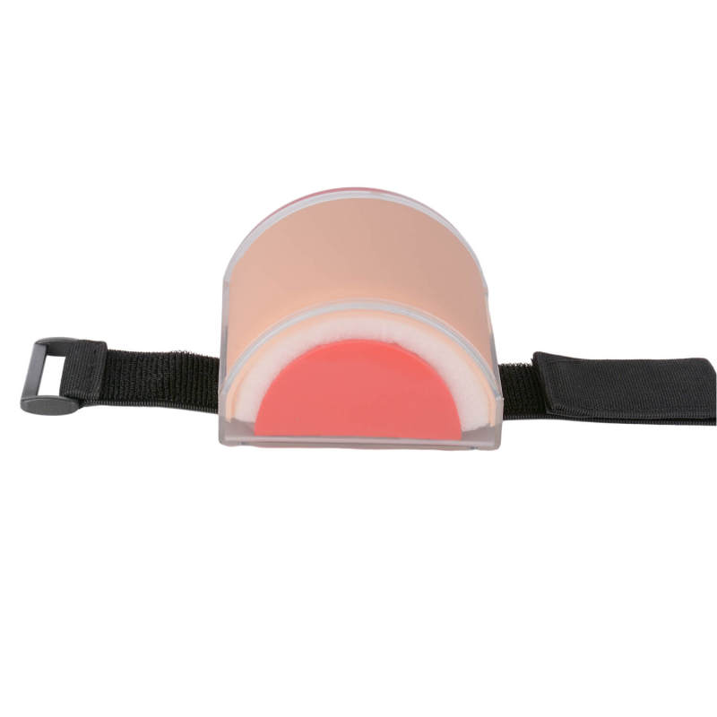 Upgraded Transparent Intramuscular(IM) Injection Training Pad with 3 ...