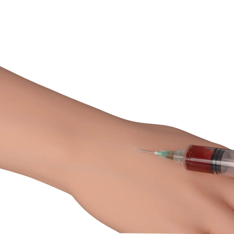 Multi Venous IV & Phlebotomy Practice Arm and Hand Kit | Customization