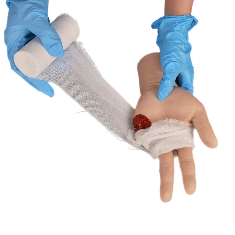 Basic Amputation Finger Trauma Wound Care Palm Model