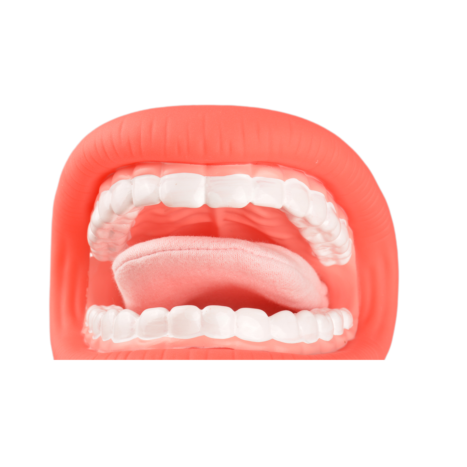 Mighty Mouth Puppet with Tongue for Speech Therapy