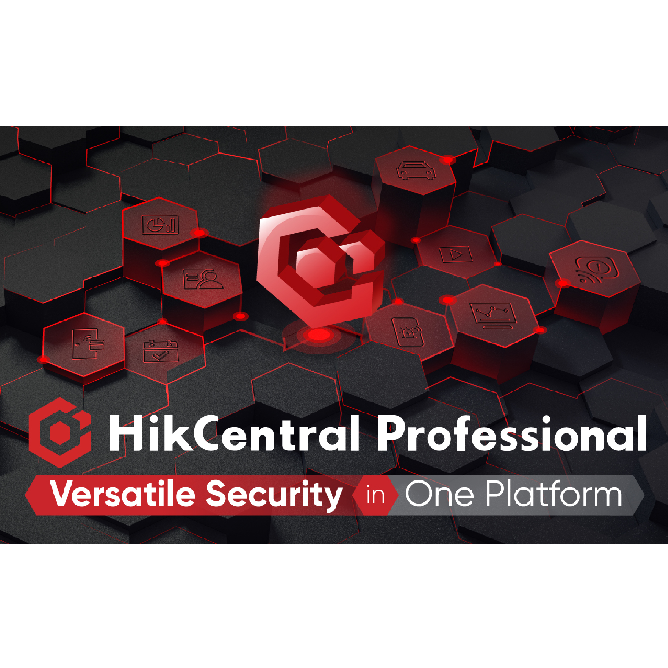 HikCentral-P-Inclusive-Global/64