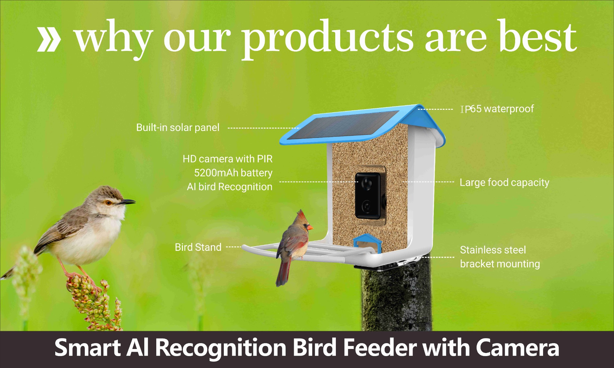 BF23E Smart Bird Feeder with WI-FI Camera,Smart Bird Feeder With Wi-Fi ...
