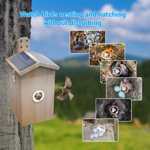 smart bird house with camera, bird house with smart camera, smart bird ...