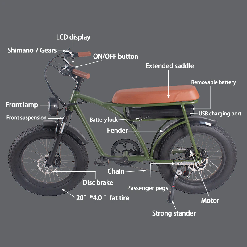 FXH005 Electric Mountain Fat Bike 7 Speed Rear Hub Motor Mountain E ...
