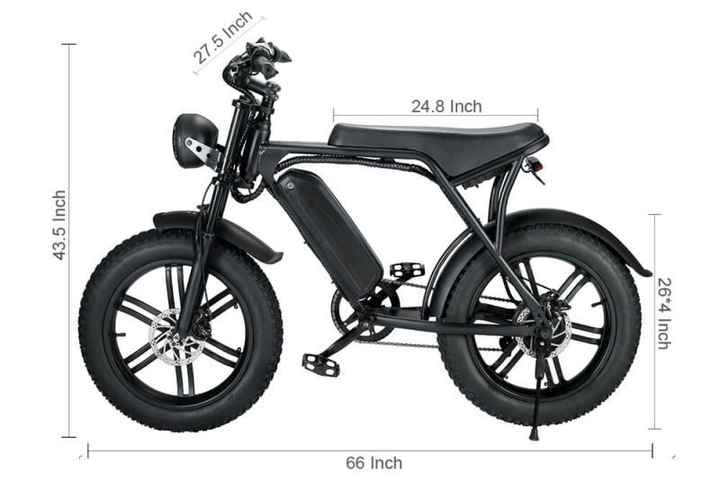 V8 Dual Battery eBike 750W 48V 30AH eBike Fat Tire Electric Bicycle for ...