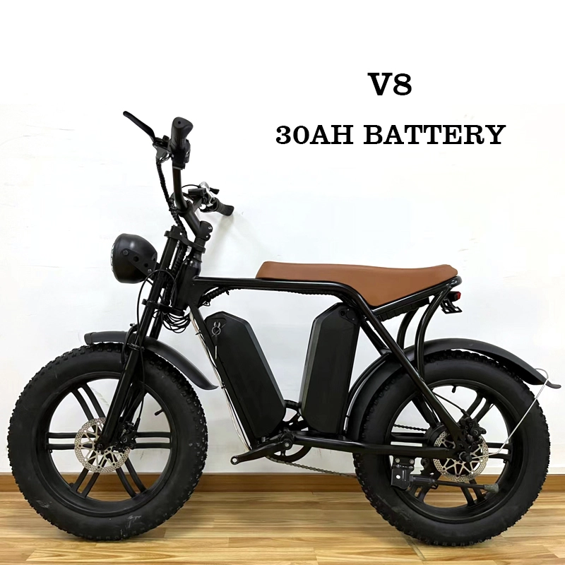V8 Dual Battery eBike 750W 48V 30AH eBike Fat Tire Electric Bicycle for ...
