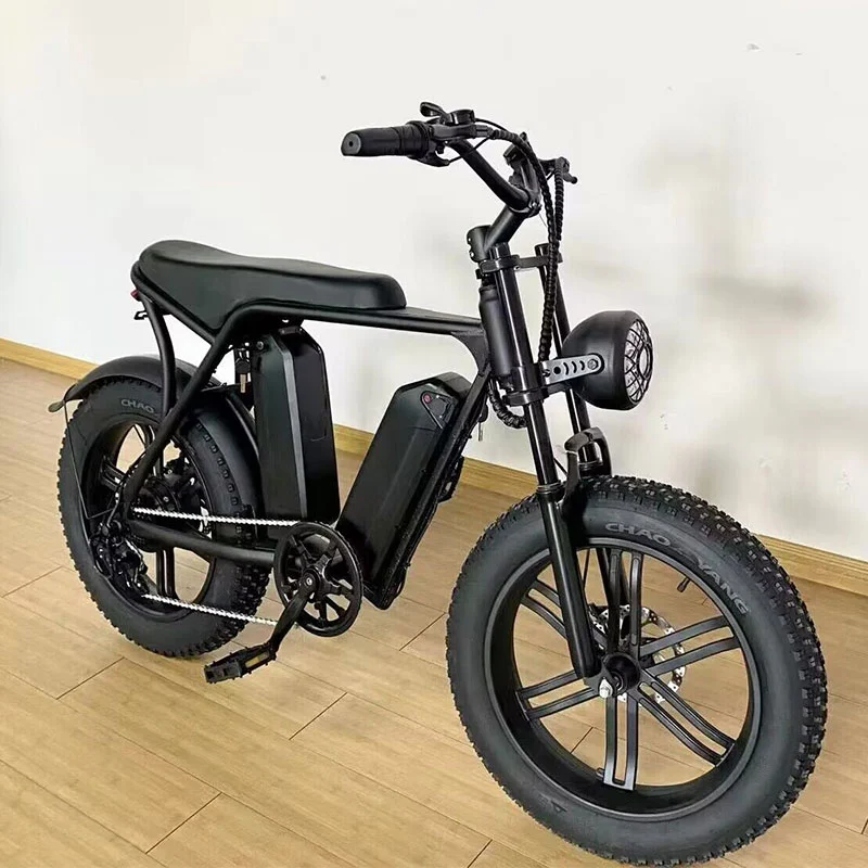 V8 Dual Battery eBike 750W 48V 30AH eBike Fat Tire Electric Bicycle for ...