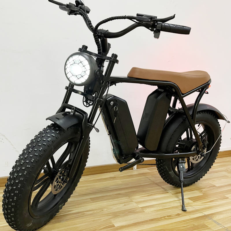 V8 Dual Battery eBike 750W 48V 30AH eBike Fat Tire Electric Bicycle for ...