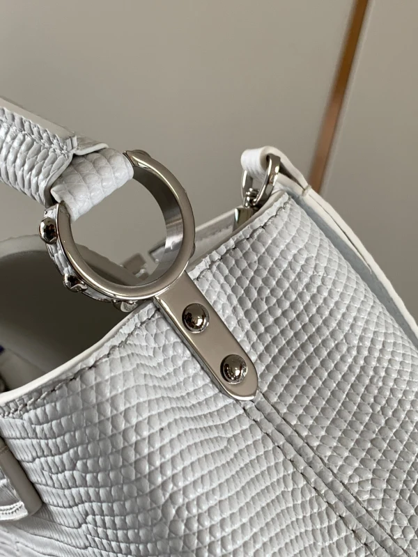 Louis Vuitton Capucines lizard skin MINI M99527 mirror boutique