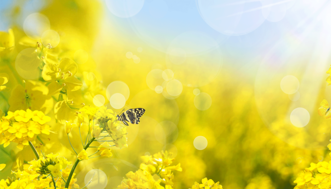 Construction of invisible stage, achievement stretch life