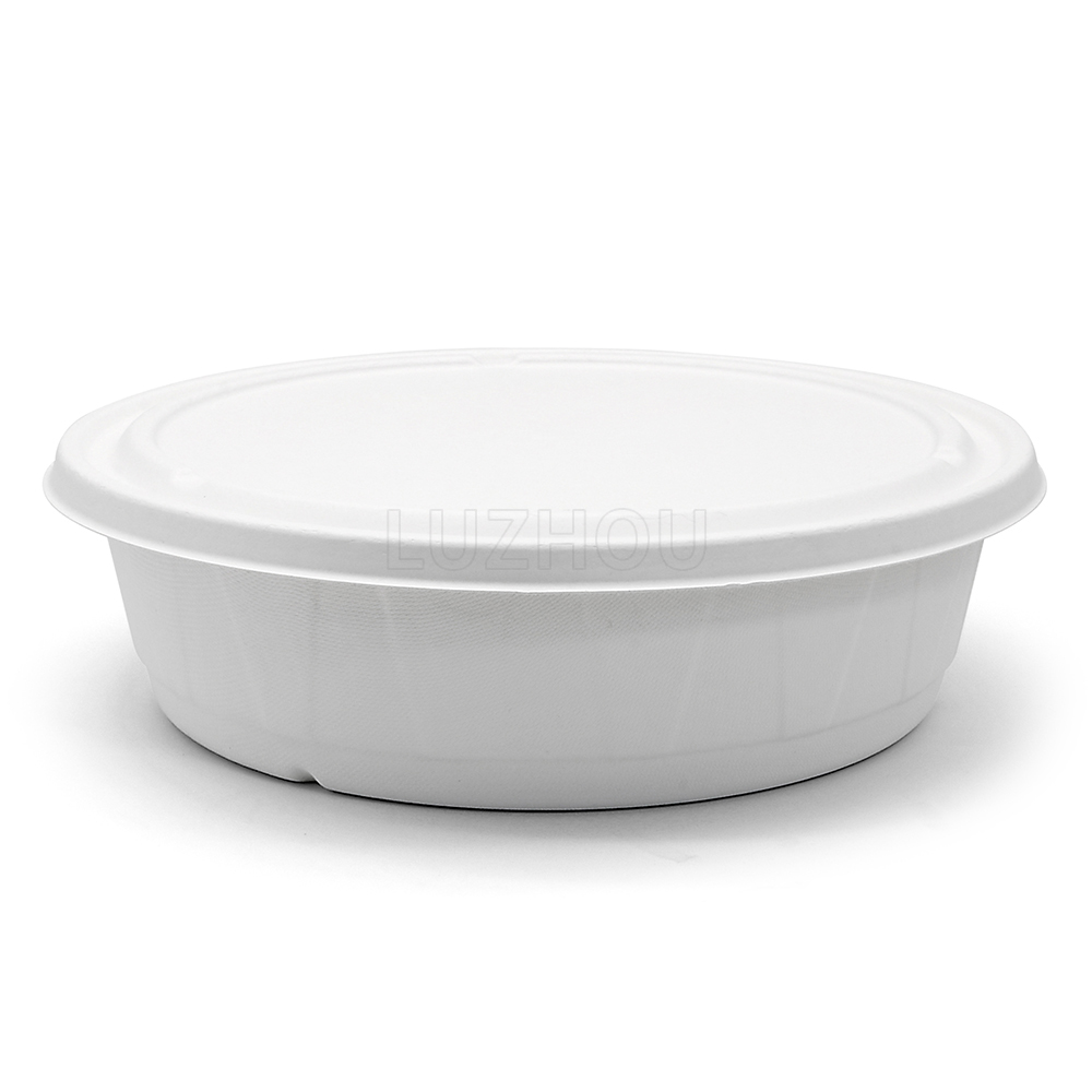 Sustainable Disposable Food To Go Containers | Luzhou Pack